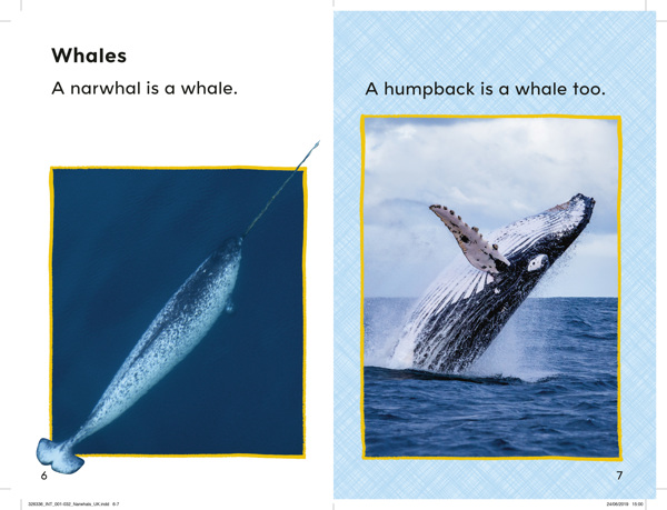Reading Gems Fact Finders: Narwhals (Level 1) by Katie Woolley | Quarto ...